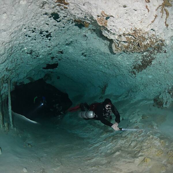 Tulum Cave Diving SCUBA Adventures.