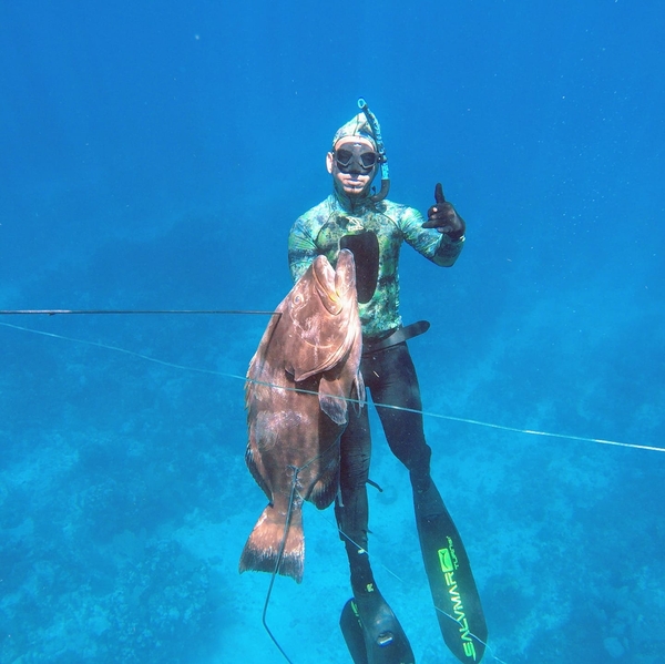 Playa del Carmen Spear Fishing (Free Diving).
